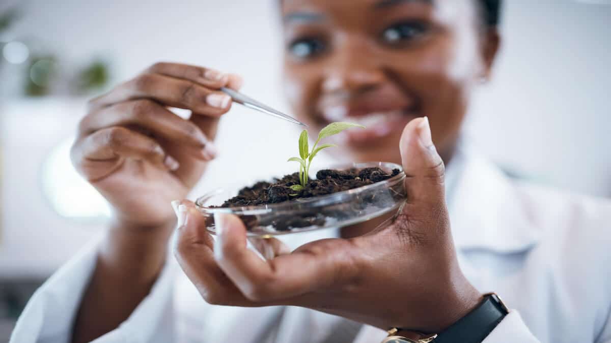 Environmental Science Young Professional-in-Training Programme At ...