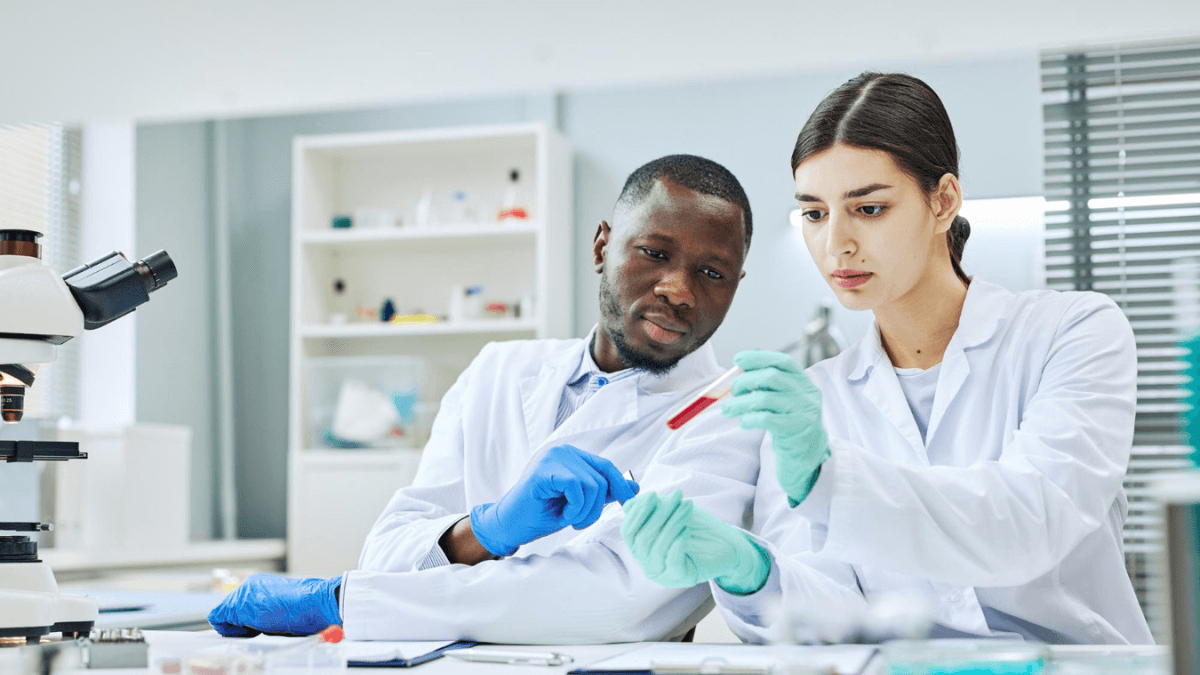 CSSFF-SAMRC Internships 2024/2025 | NASI ISPANI