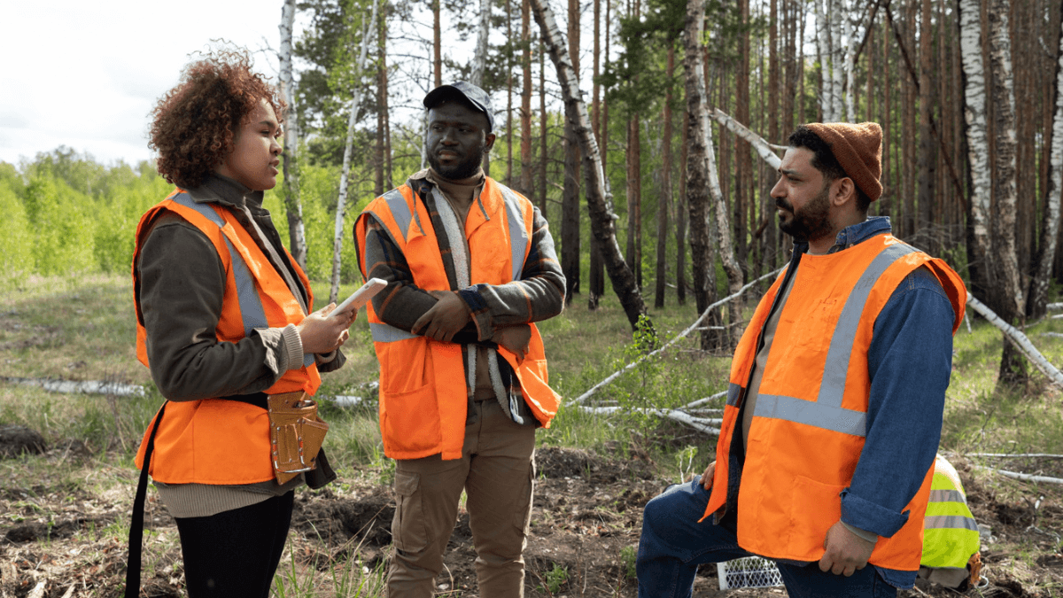 Fraser Alexander SHEQ Graduate Programme 2025 | NASI ISPANI