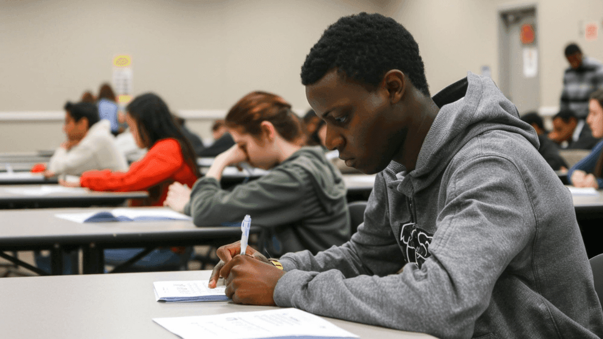 Grade 12 Business Studies Past Papers (With Memos) | NASI ISPANI