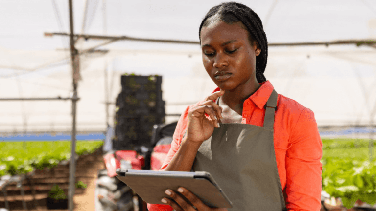 Registering On The ESSA Labour Database For Government Jobs 2025